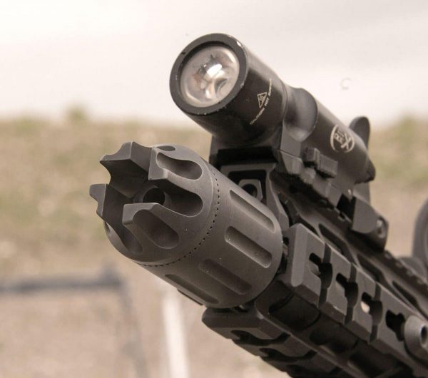 Primary Weapons Systems Mod 2 Rifles | On Target Magazine