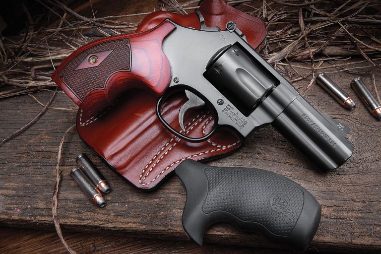 S&W Performance Center Model 19 Carry Comp | On Target Magazine