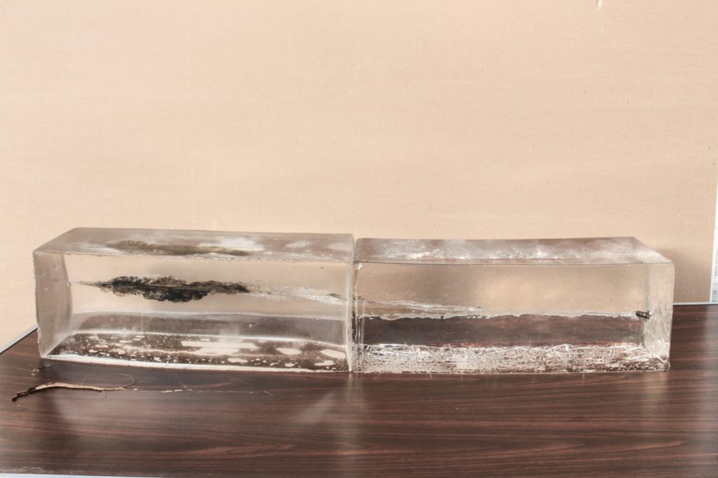 Federal Edge TLR Ammunition | On Target Magazine