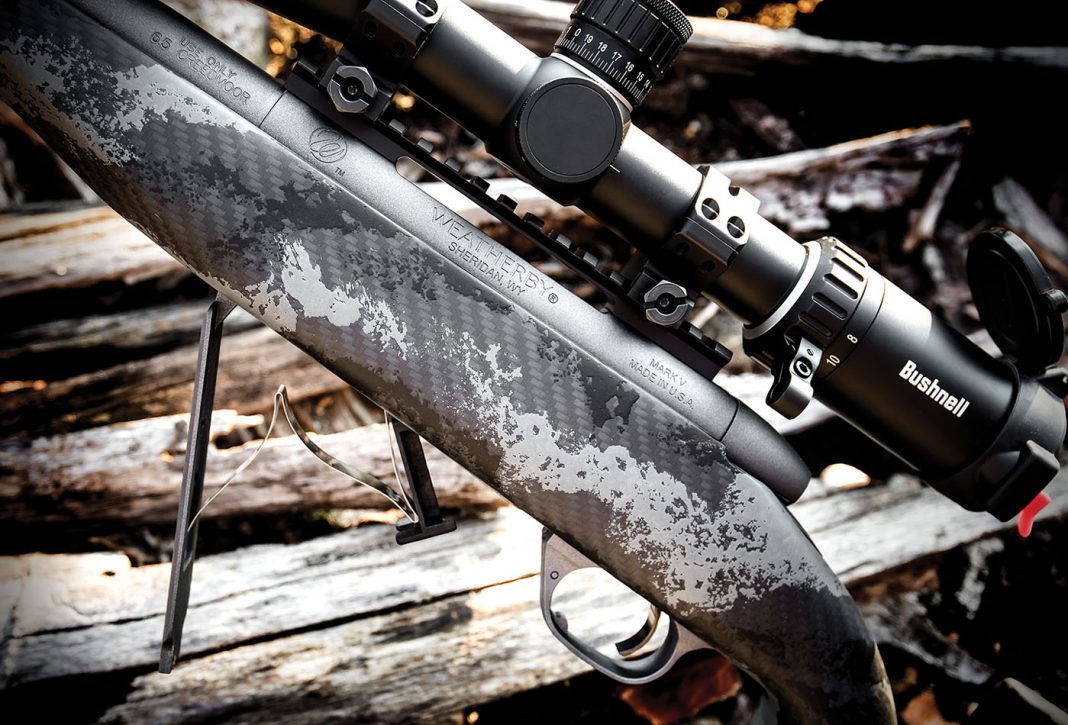 2019 Editor’s Choice Award – Weatherby Mark V Accumark Pro Rifle | On ...