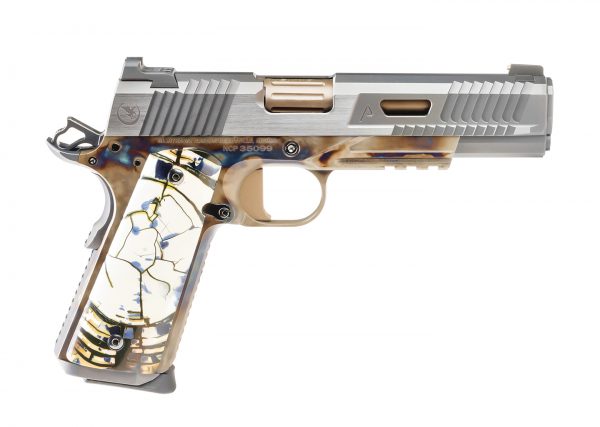 Nighthawk VIP Agent 2 | On Target Magazine