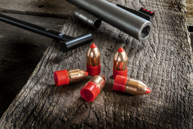 Tested: Hornady’s new Bore Driver FTX Redefines Muzzleloader Bullet ...