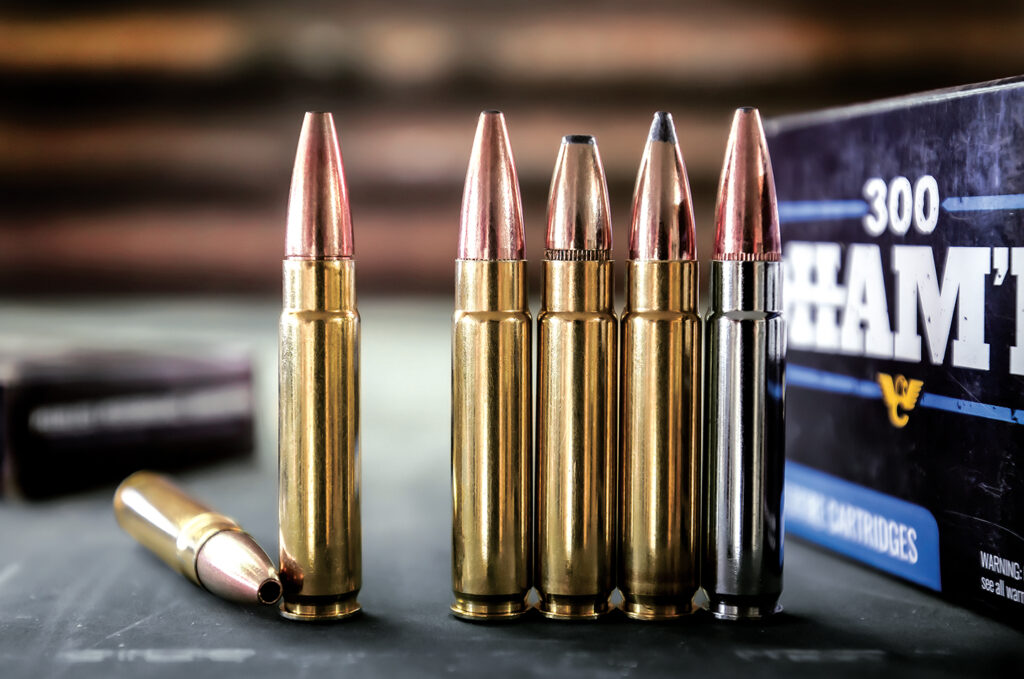 Wilson Combat 300 HAM’R Tactical Hunter | On Target Magazine