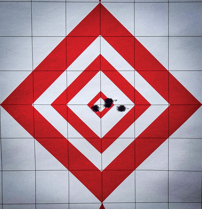 Springfield Armory Hellion 20” Rifle | On Target Magazine