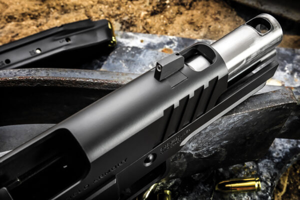 2024 Editor’s Choice Award Winning Springfield Armory Prodigy DS Comp ...