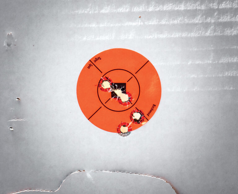 Springfield Armory Echelon 4.5F Comp | On Target Magazine