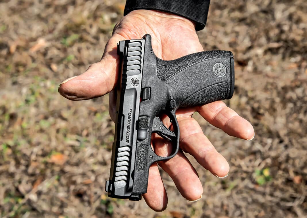 Smith & Wesson Bodyguard 2.0 .380 | On Target Magazine
