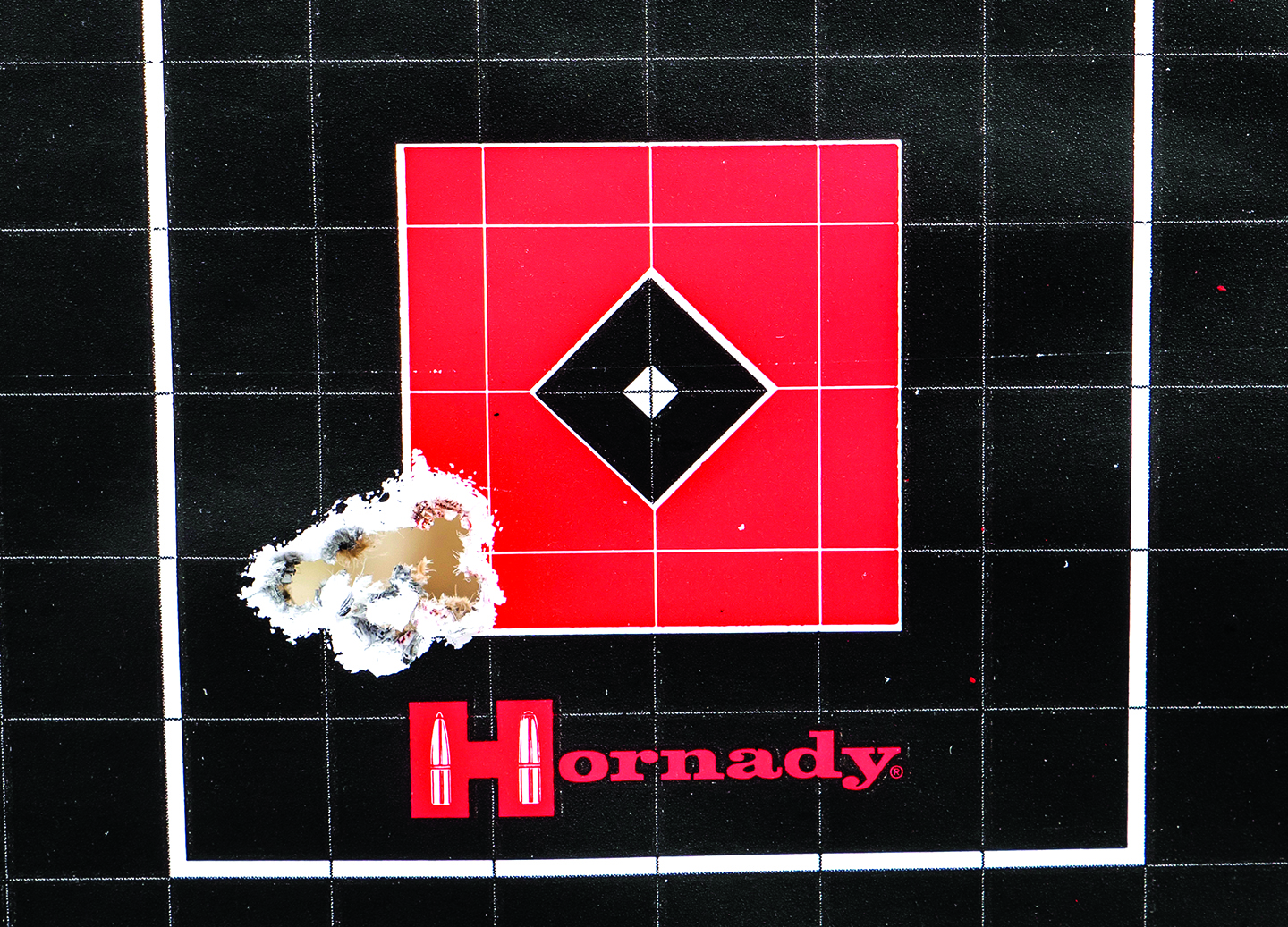 Wasteland Contingency Plan | On Target Magazine